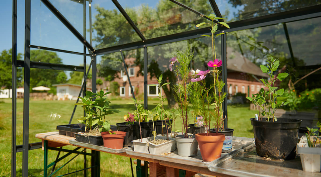 Urban Farming – Stadtfarm Hamburg